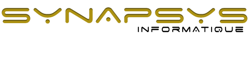 Synapsys Informatique : La gestion de votre système d'information