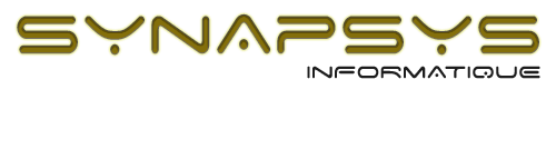 Synapsys Informatique : La gestion de votre système d'information